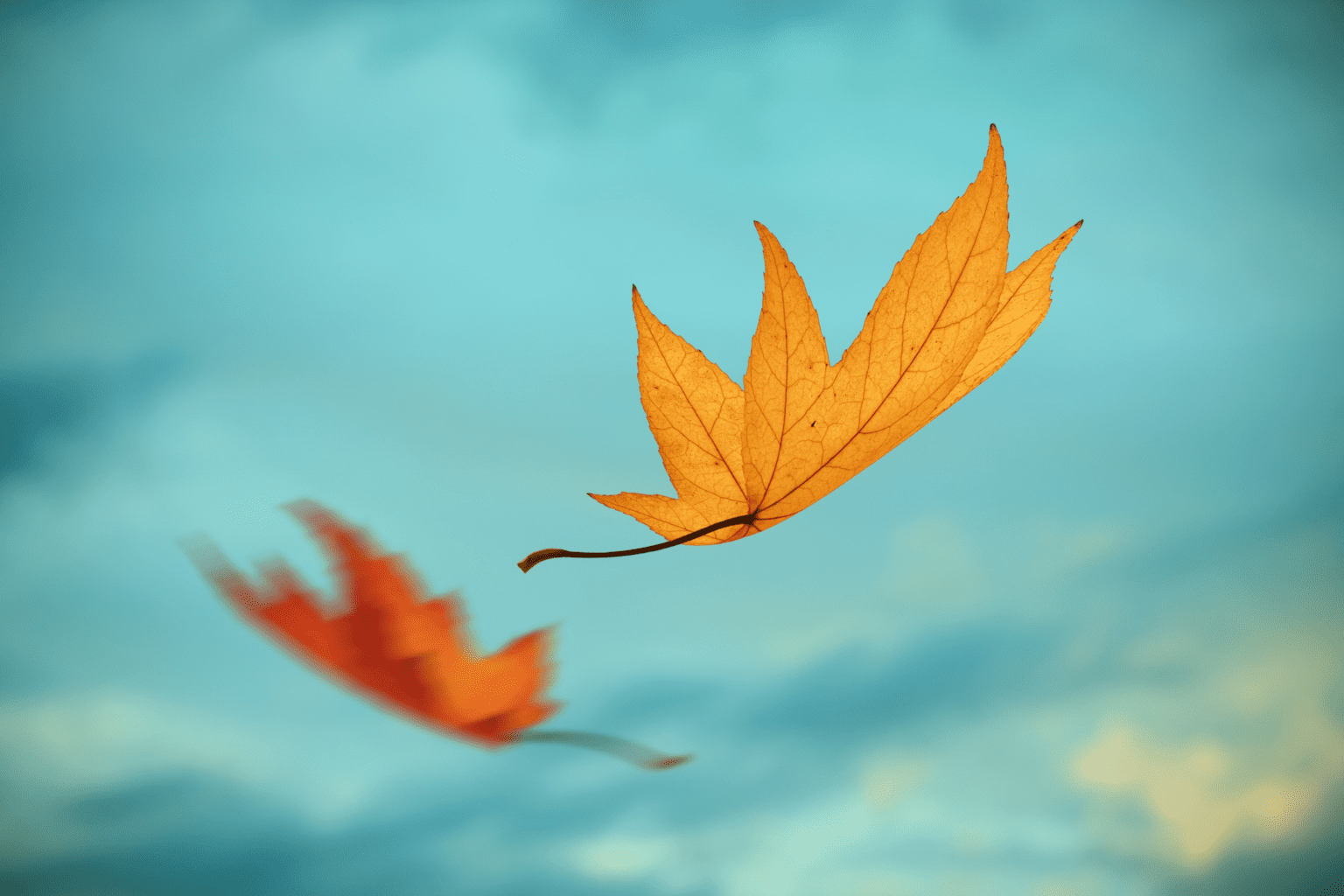 Autumn Maintenance for HVAC Cooling Towers - New Jersey, Pennsylvania ...